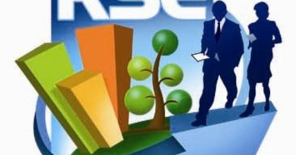 Programa de formación en RSE. Ley 8488 - Consejo Social