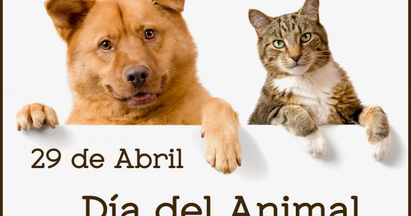 Día del Animal - ICES