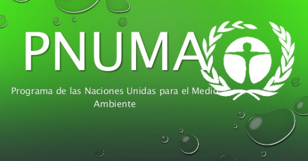 Creación del Programa de Naciones Unidas para el Medio Ambiente (PNUMA ...