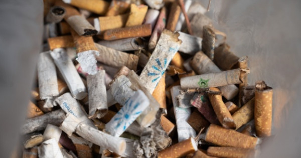 Día Mundial Sin Tabaco: "Del humo al vapeo, los daños que esconden ...